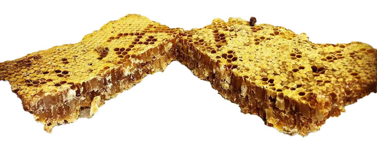 The Killer Bee Guy – Awesome honey products and bee adventures